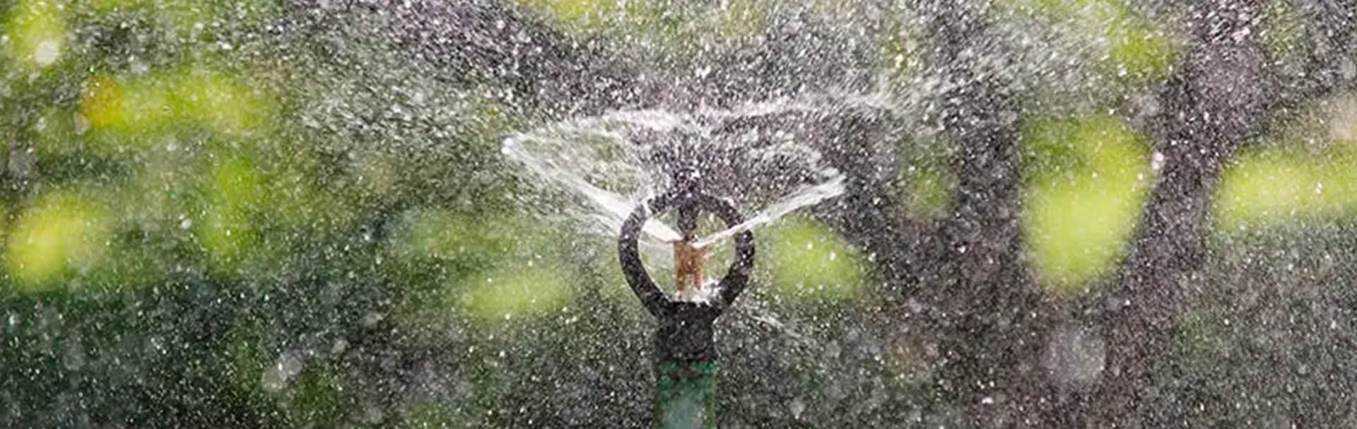 How to install a garden watering system - Sunshine Mitre 10