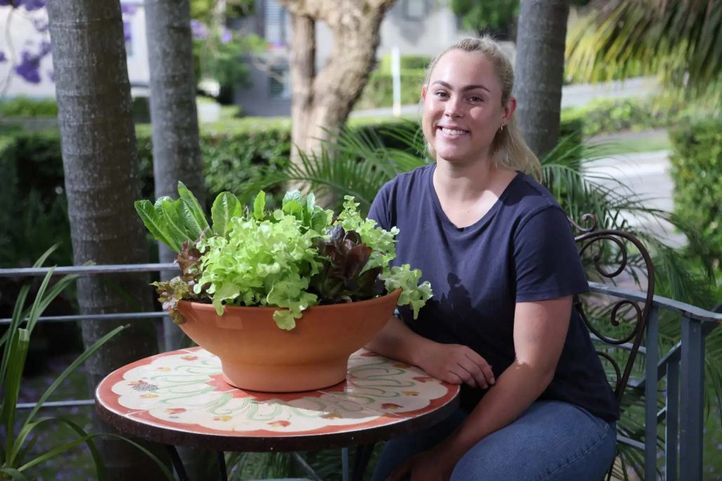 How to make your own perpetual lettuce pot - Sunshine Mitre 10