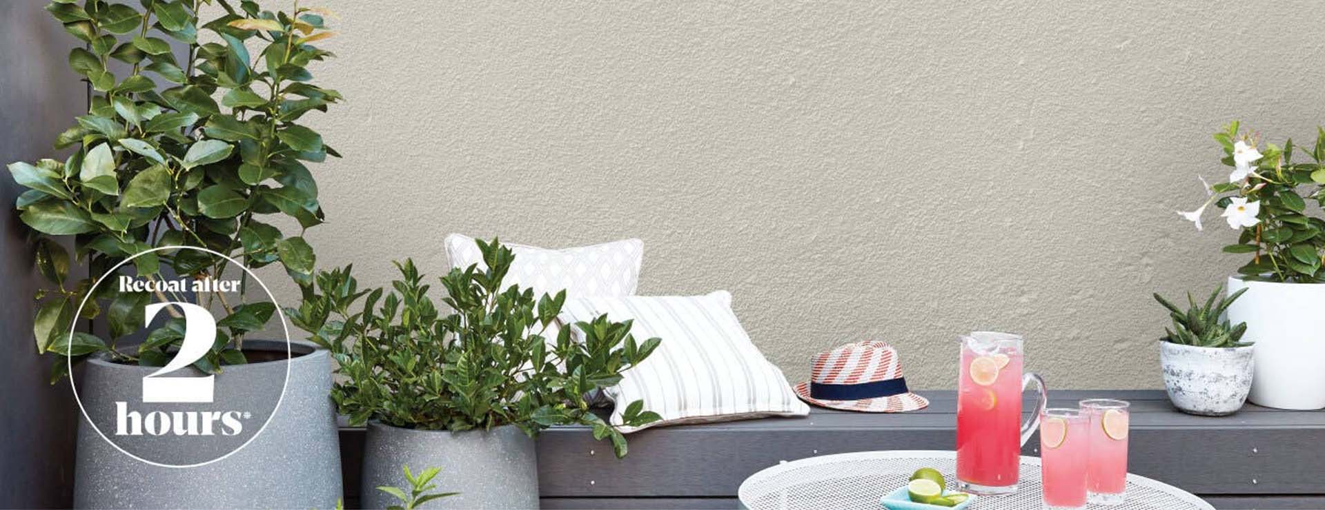 Paint your rendered wall with Accent® - Sunshine Mitre 10