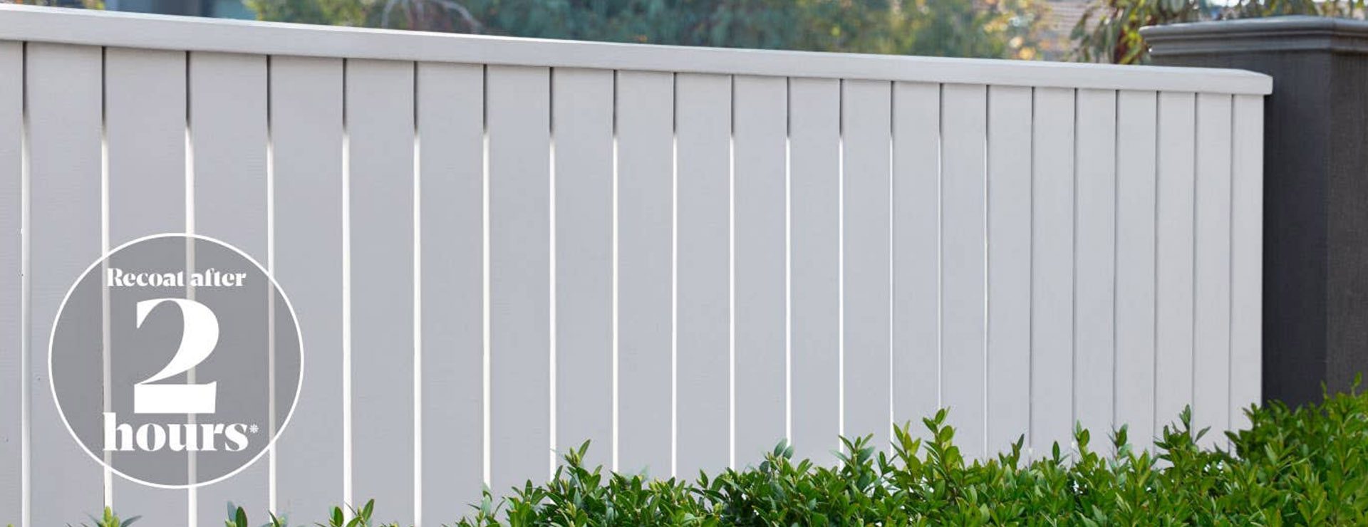 Spray paint your fence with Accent® - Sunshine Mitre 10
