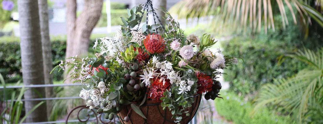 How to create festive hanging baskets this Christmas - Sunshine Mitre 10