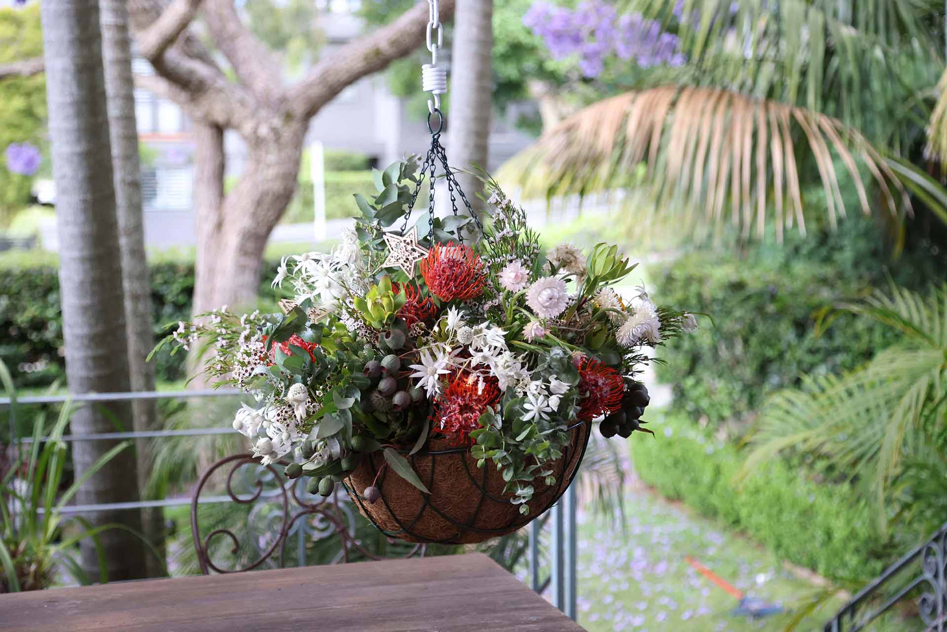 How to create festive hanging baskets this Christmas - Sunshine Mitre 10