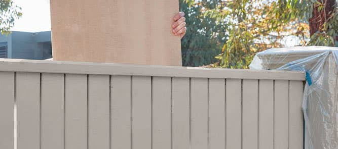 Spray paint your fence with Accent® - Sunshine Mitre 10