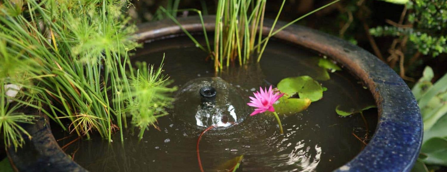 Create a container water feature in 5 simple steps - Sunshine Mitre 10