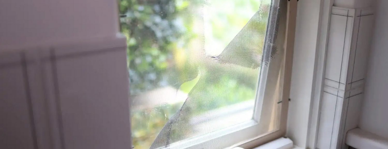 How to repair or replace a flyscreen - Sunshine Mitre 10