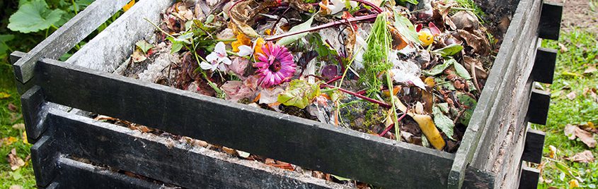 How to enjoy your garden in winter - Sunshine Mitre 10