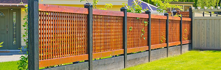 How to create outdoor privacy for your garden - Sunshine Mitre 10